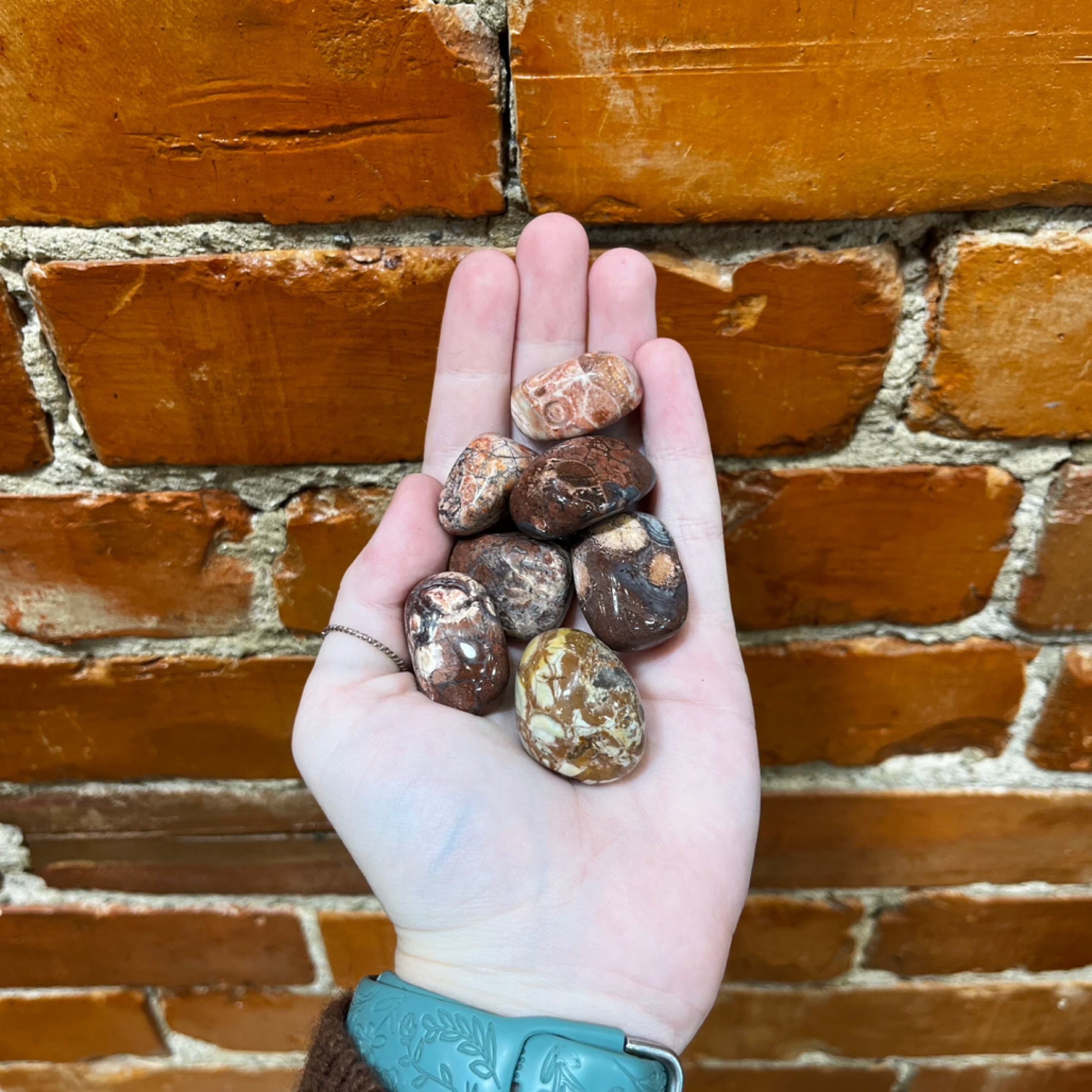 Birds Eye Rhyolite Tumble | Main Street Rocks